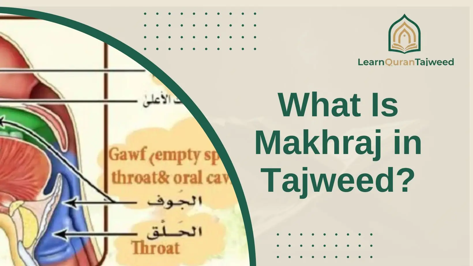 What Is Makhraj In Tajweed? - Learn Quran Tajweed